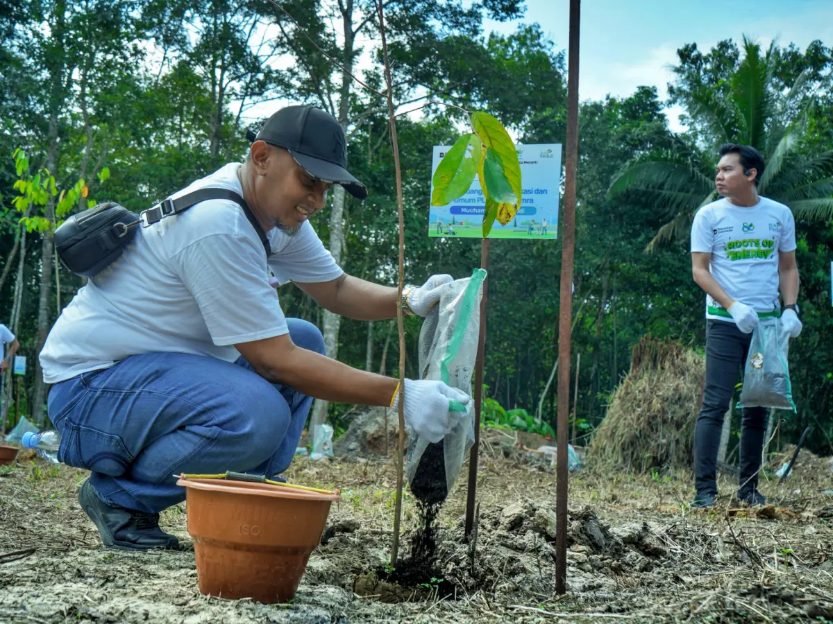 PLN Tanam 1.500 Pohon untuk Jaga Ekosistem DAS Manggar